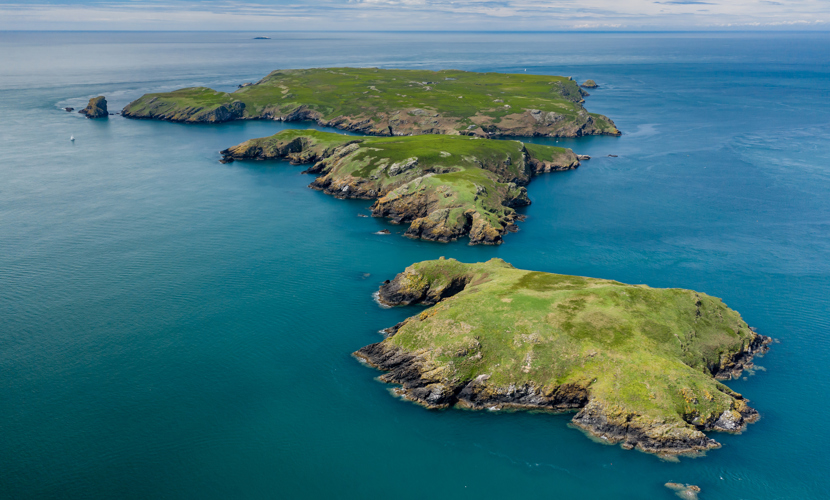 Ein Byd | Ynys Enlli